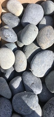 Exotic Pebbles, Tampa, Jacksonville, Orlando, FL