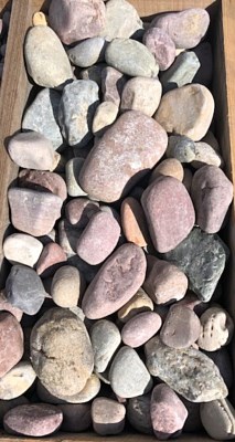 Exotic Pebbles, Tampa, Jacksonville, Orlando, FL