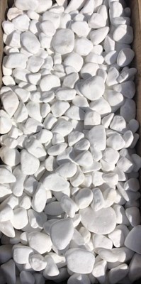 Exotic Pebbles, Tampa, Jacksonville, Orlando, FL