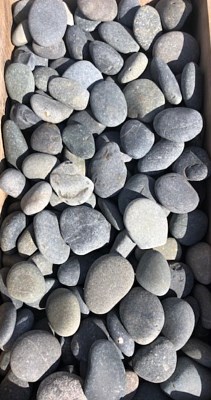 Exotic Pebbles, Tampa, Jacksonville, Orlando, FL