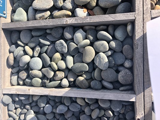 Exotic Pebbles, Tampa, Jacksonville, Orlando, FL