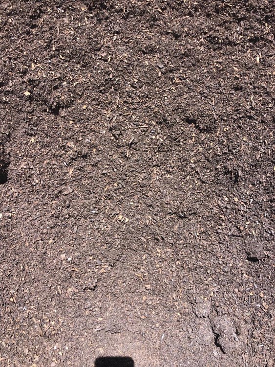 Dirt, Tampa, Jacksonville, Orlando, FL