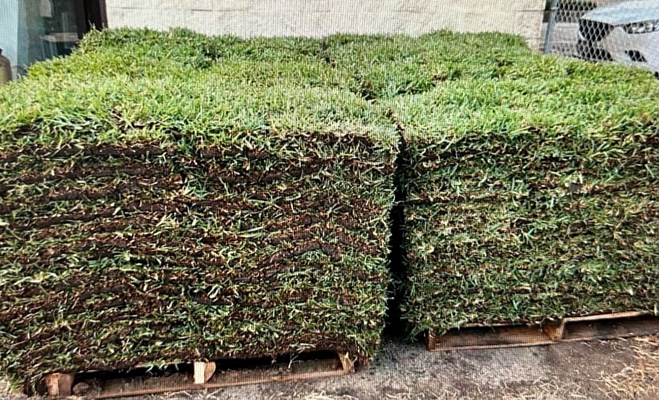Sod, Tampa, Jacksonville, Orlando, FL