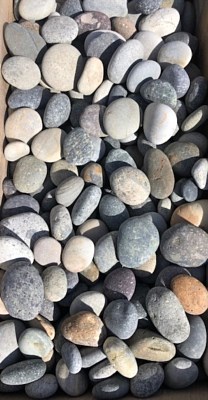 Exotic Pebbles, Tampa, Jacksonville, Orlando, FL