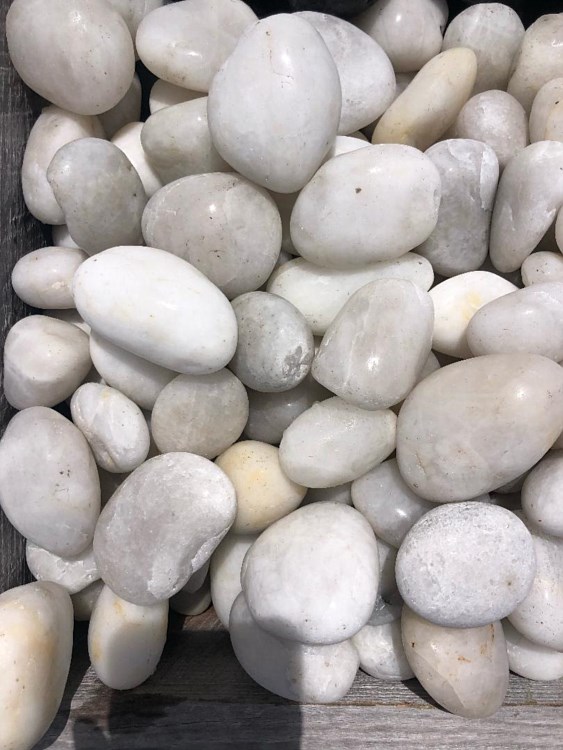 Exotic Pebbles, Tampa, Jacksonville, Orlando, FL