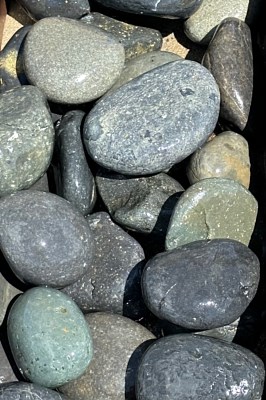 Exotic Pebbles, Tampa, Jacksonville, Orlando, FL