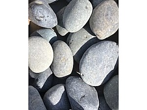 Exotic Pebbles, Tampa, Jacksonville, Orlando, FL