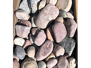 Exotic Pebbles, Tampa, Jacksonville, Orlando, FL