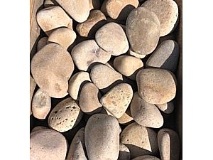 Exotic Pebbles, Tampa, Jacksonville, Orlando, FL