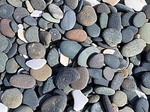 Exotic Pebbles, Tampa, Jacksonville, Orlando, FL
